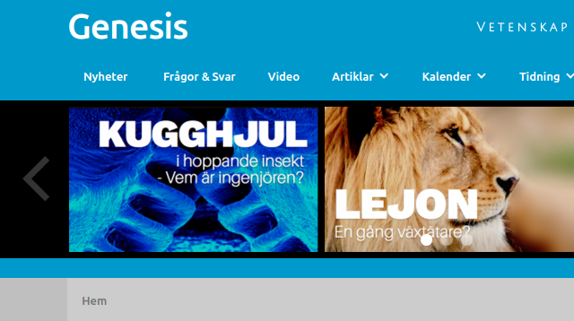 Trilobiterna - hur förklarar man deras massdöd? | Föreningen Genesis